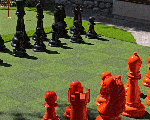 Artificial Grass Gallery | Ecoworkz